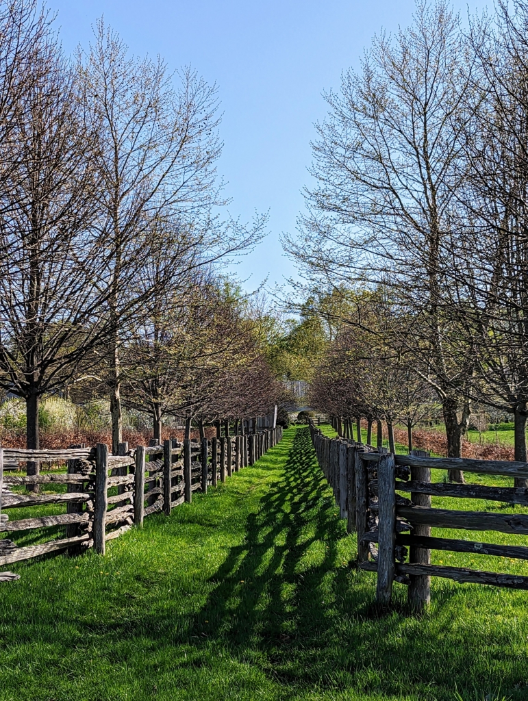 Potting Many Trees at My Farm - The Martha Stewart Blog