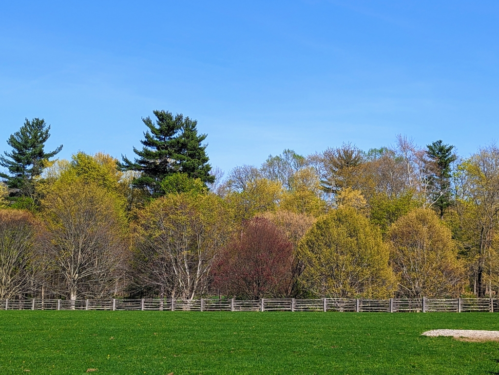 Potting Many Trees at My Farm - The Martha Stewart Blog