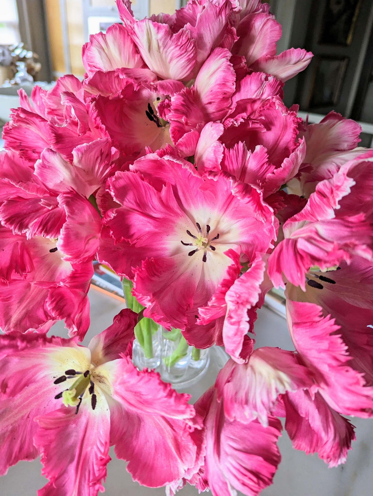 Cutting and Arranging Spring Tulips from the Garden - The Martha ...