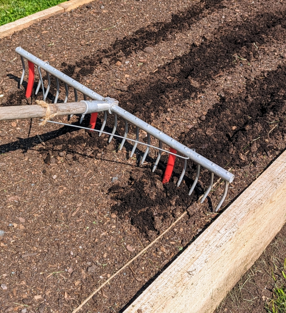 Planting Onions, Shallots, and Leeks - The Martha Stewart Blog