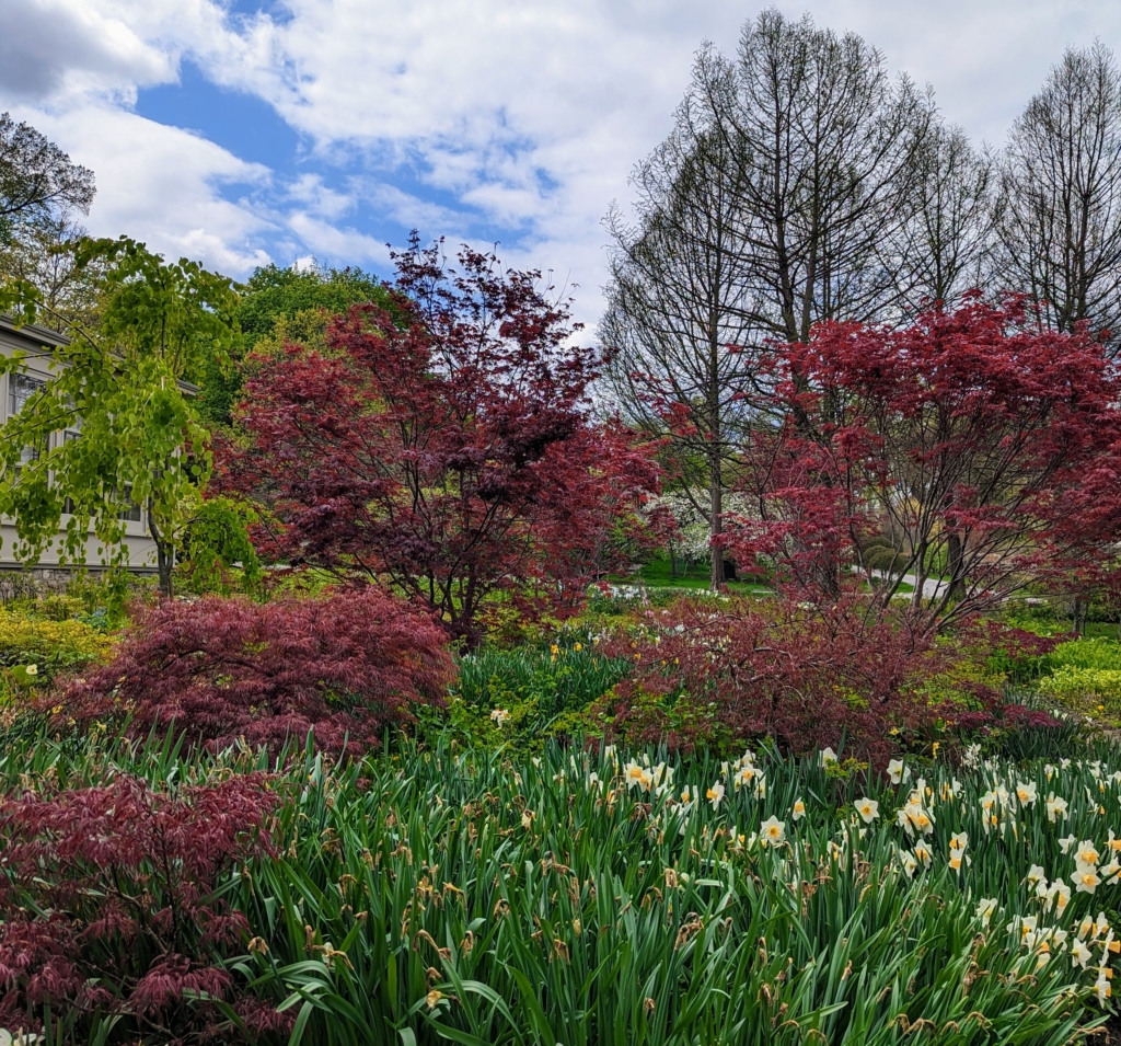 Spring Growth in My Shade Gardens - The Martha Stewart Blog