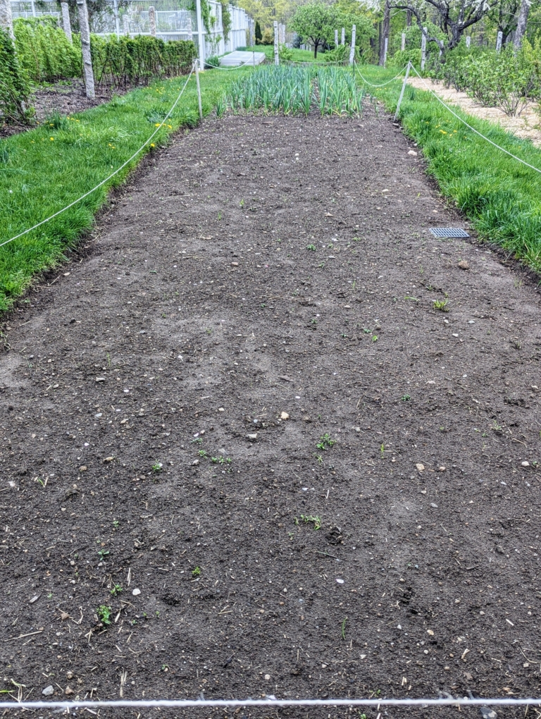 The Martha Stewart Blog : Blog Archive Planting a Strawberry Patch ...