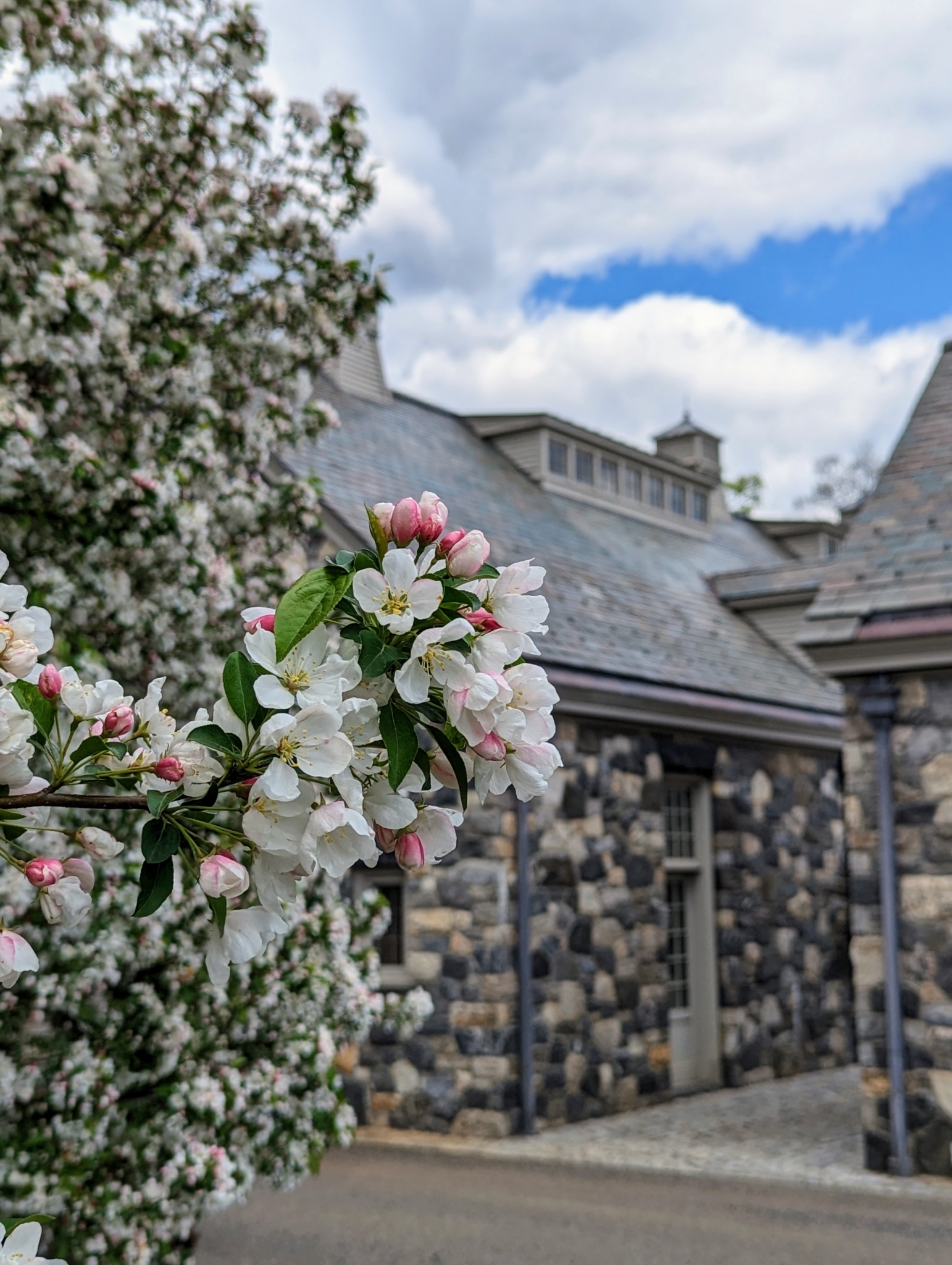 Preparing for Spring Entertaining at My Farm - The Martha Stewart Blog