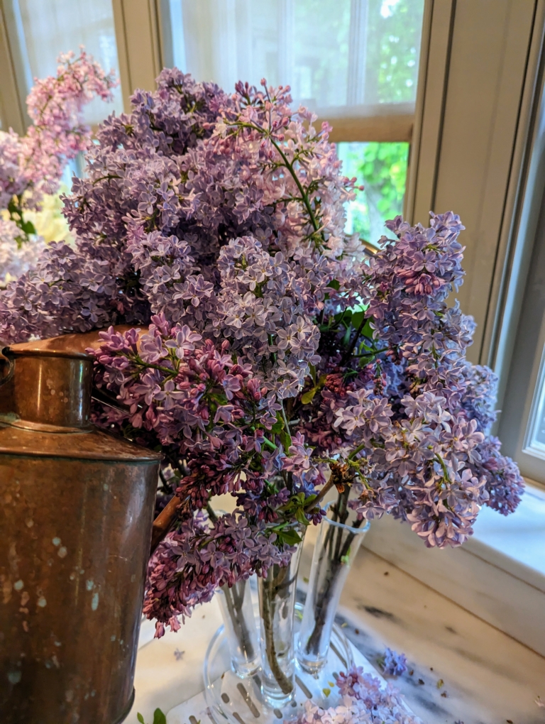 Picking and Arranging Lilacs from My Garden - The Martha Stewart Blog