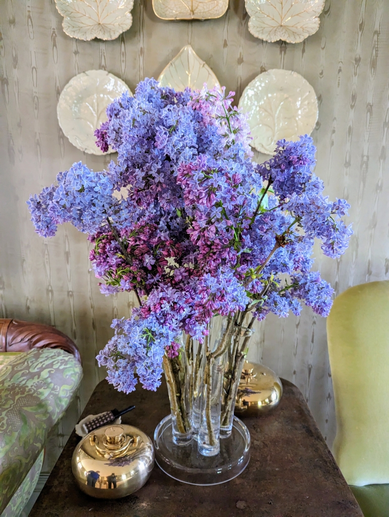Picking and Arranging Lilacs from My Garden - The Martha Stewart Blog