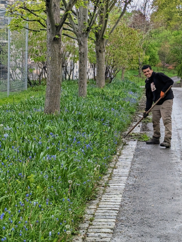 Preparing for Spring Entertaining at My Farm - The Martha Stewart Blog