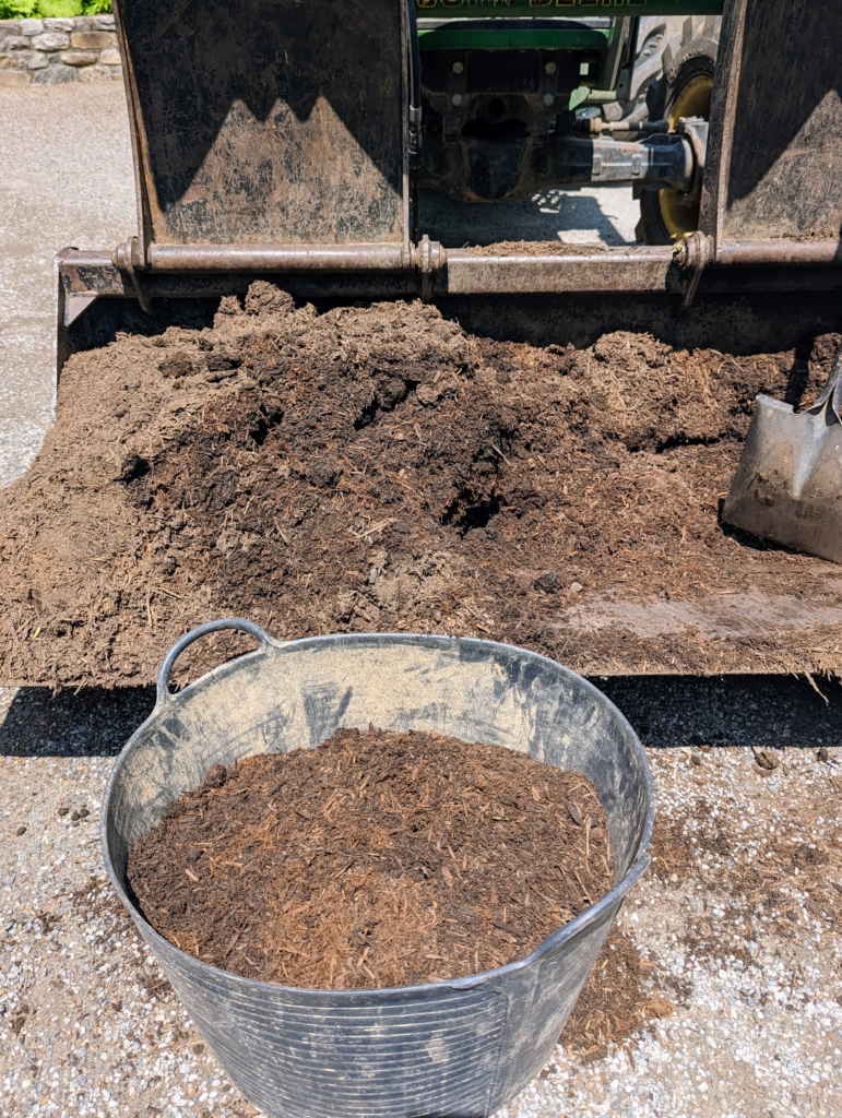 Potting and Displaying Sago Palms Around the Farm - The Martha Stewart Blog