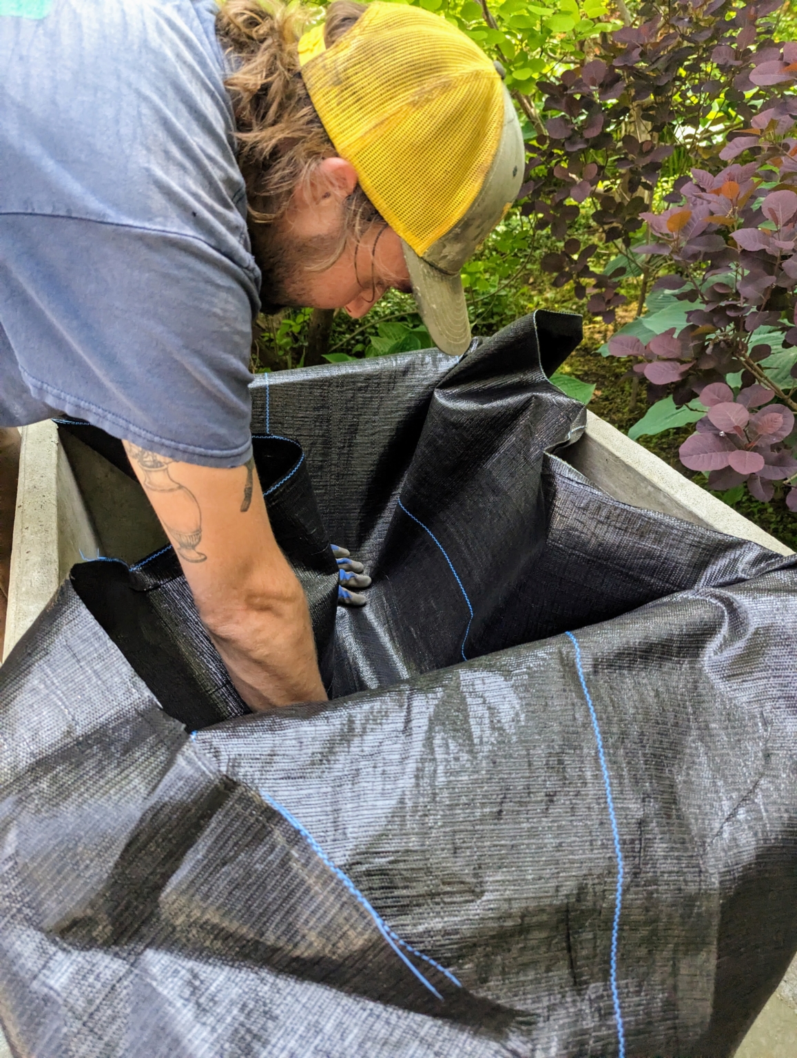 Potting and Displaying Sago Palms Around the Farm - The Martha Stewart Blog