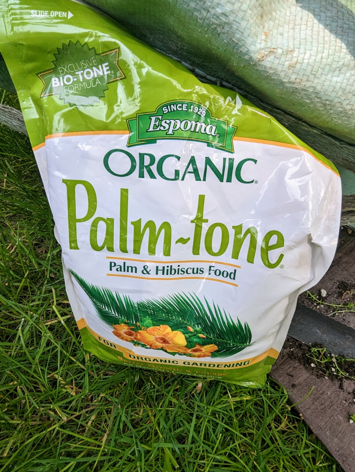 Potting and Displaying Sago Palms Around the Farm - The Martha Stewart Blog