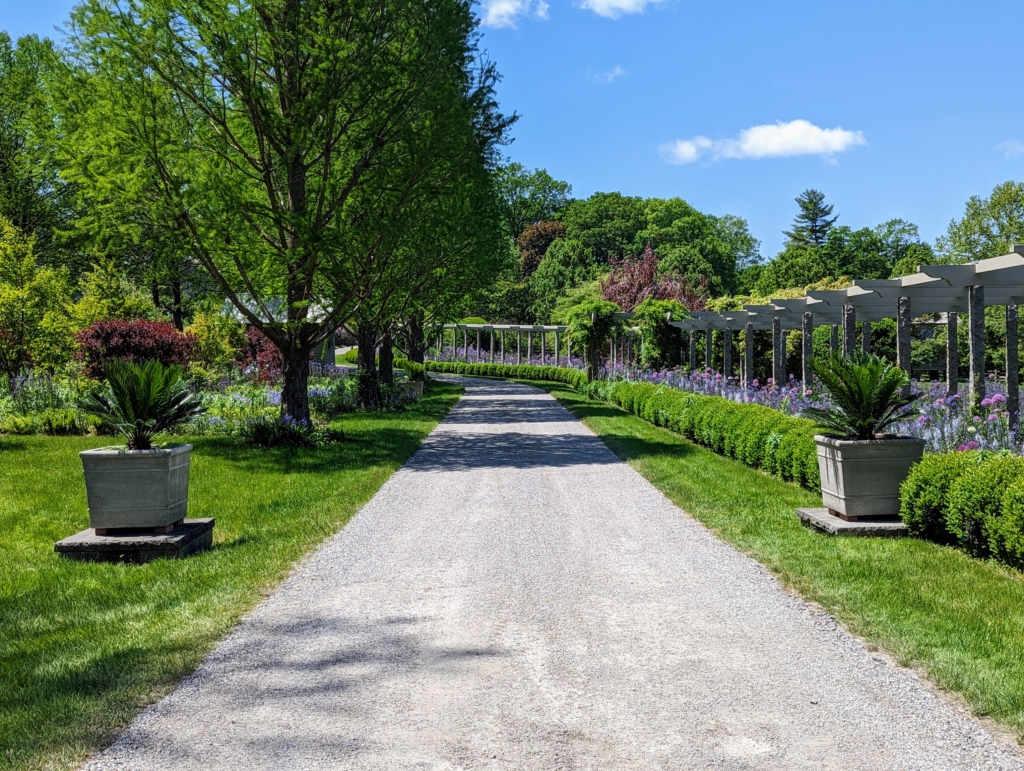 Potting and Displaying Sago Palms Around the Farm - The Martha Stewart Blog