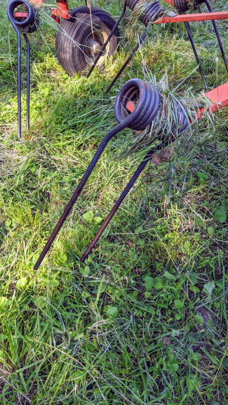 Cutting and Preparing Our Hay Crop for Baling - The Martha Stewart Blog