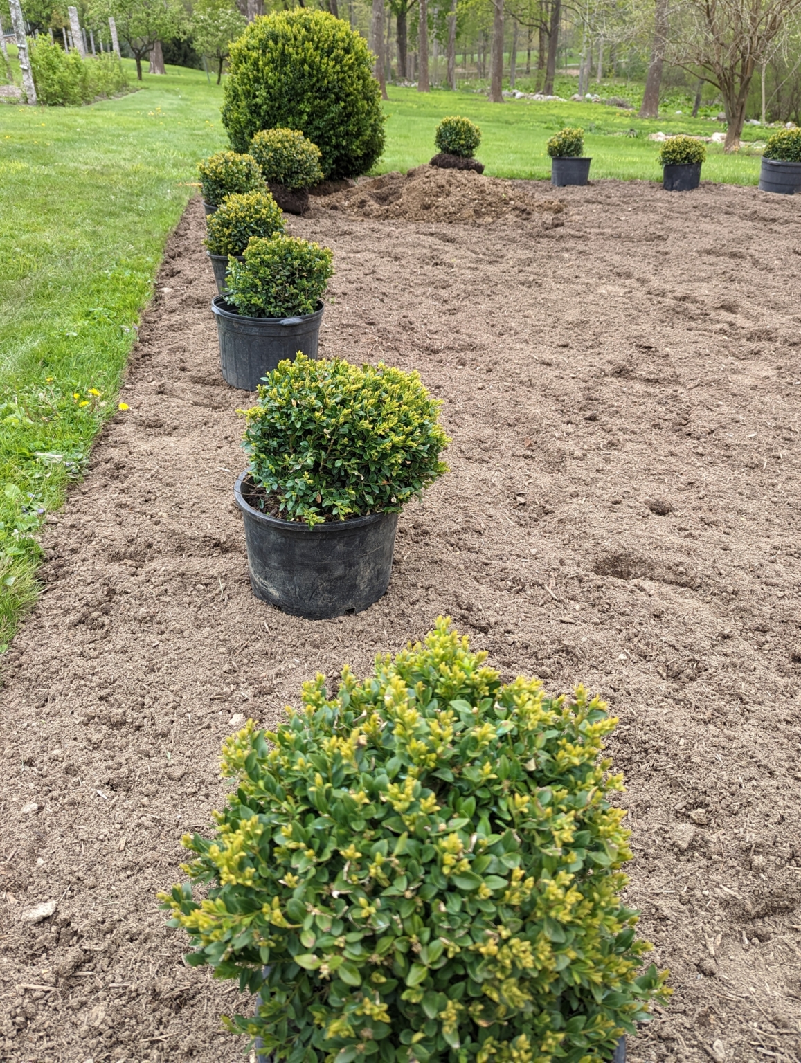 Planting a New Rose Garden at My Farm - The Martha Stewart Blog