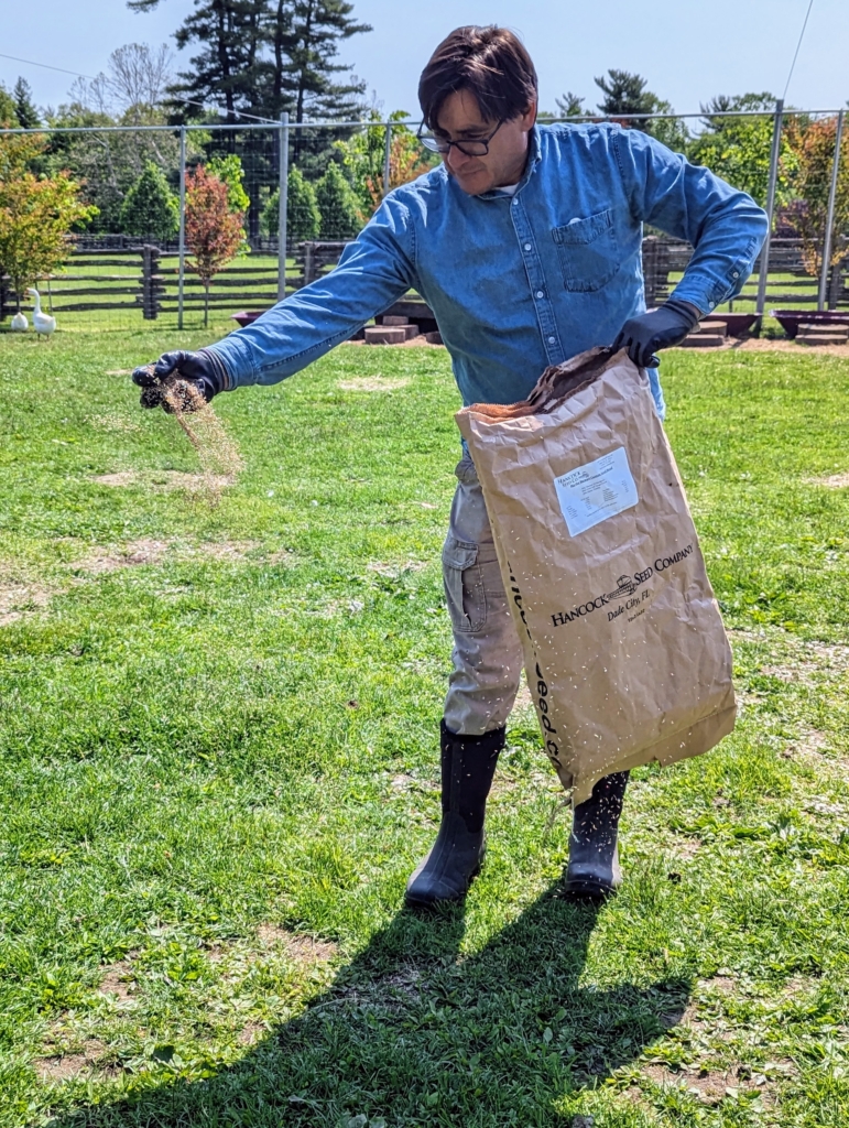 Seeding My Horse Pastures - The Martha Stewart Blog