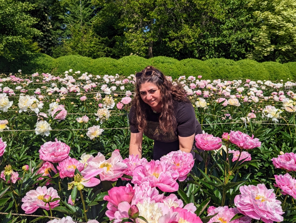 My Herbaceous Peonies are Blooming at the Farm - The Martha Stewart Blog