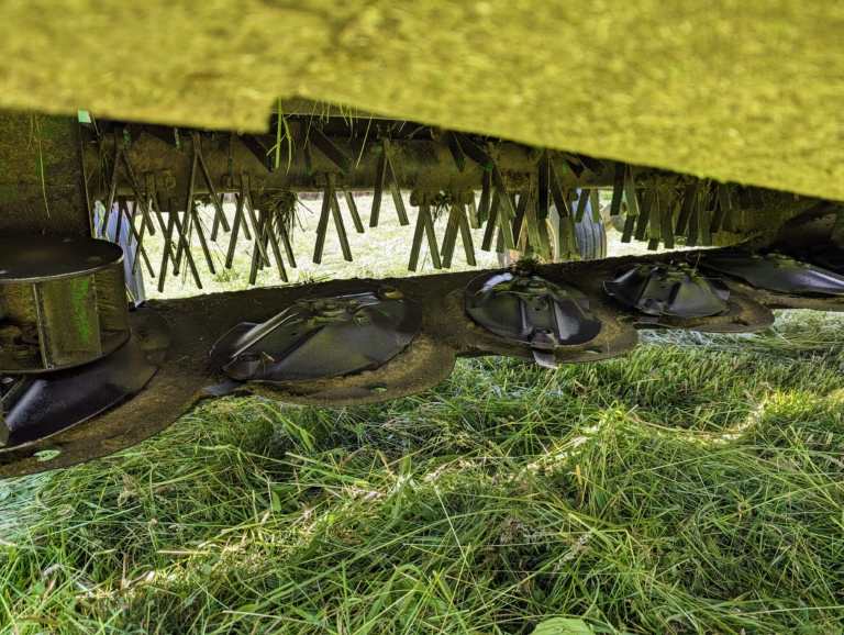 Cutting and Preparing Our Hay Crop for Baling - The Martha Stewart Blog