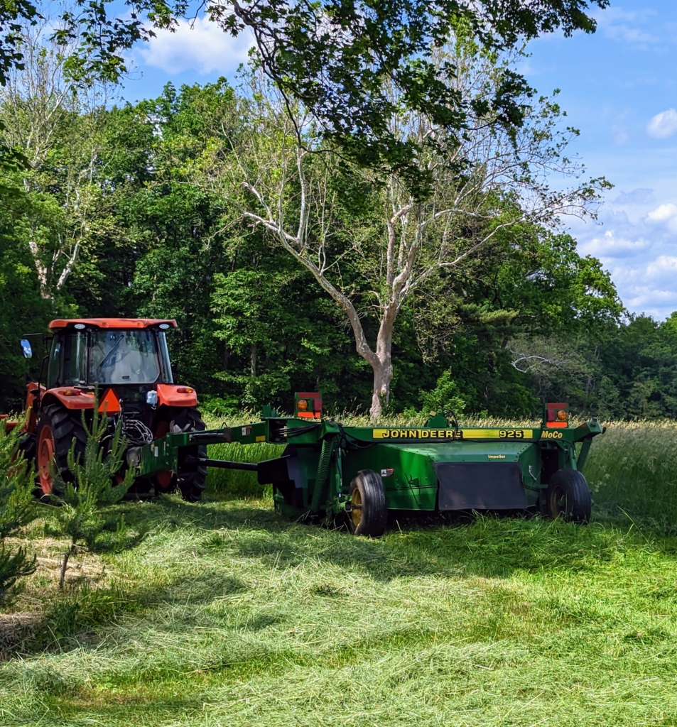 Cutting and Preparing Our Hay Crop for Baling - The Martha Stewart Blog