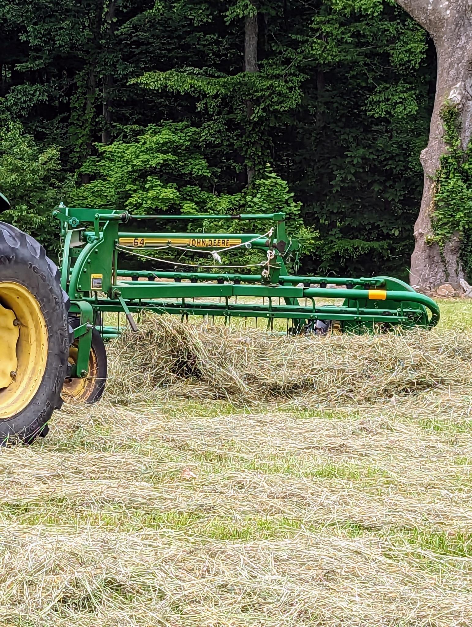 Cutting and Preparing Our Hay Crop for Baling - The Martha Stewart Blog
