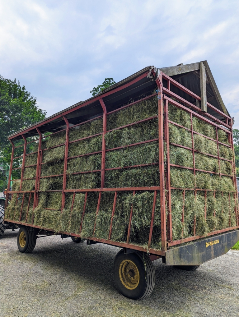 Our First Cut of Hay 2023 - The Martha Stewart Blog
