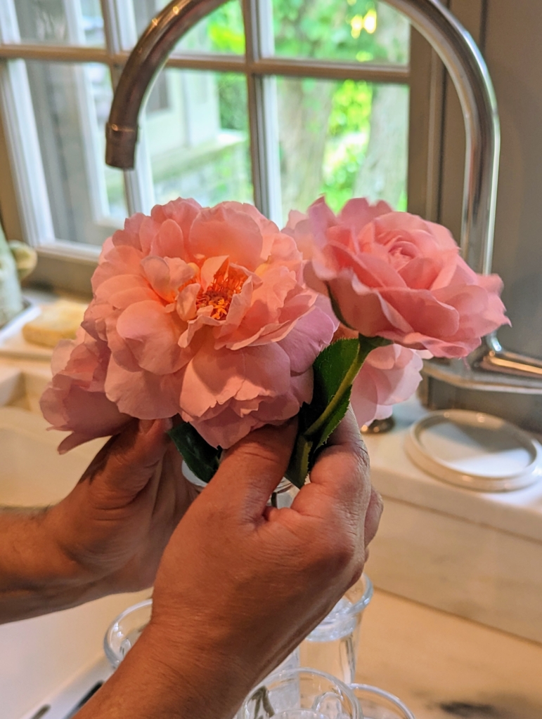 The Martha Stewart Blog : Blog Archive Picking and Arranging Roses ...