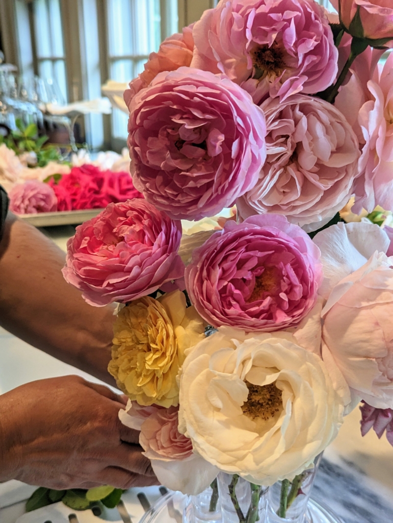 The Martha Stewart Blog : Blog Archive Picking and Arranging Roses ...