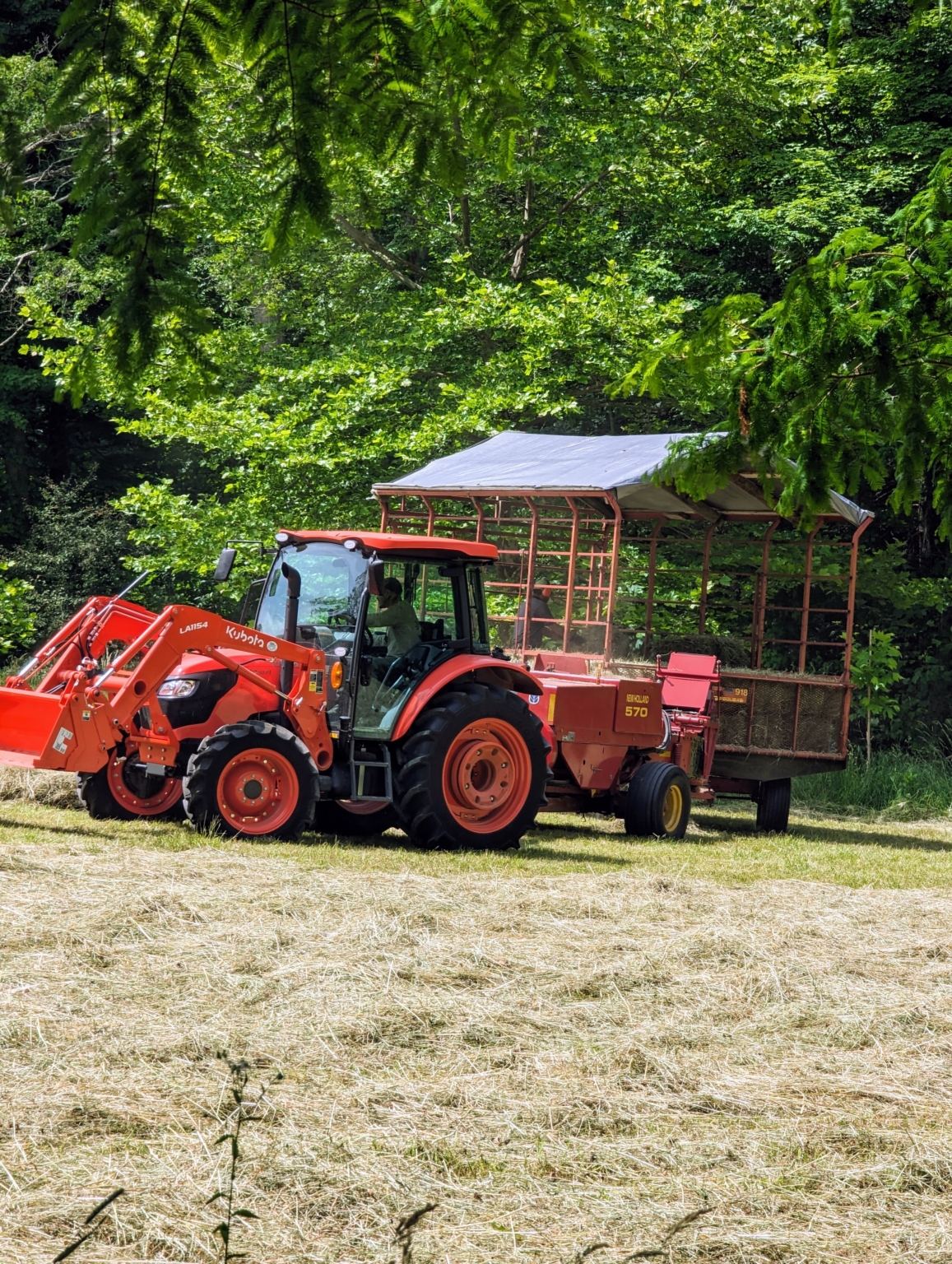 Our First Cut of Hay 2023 - The Martha Stewart Blog