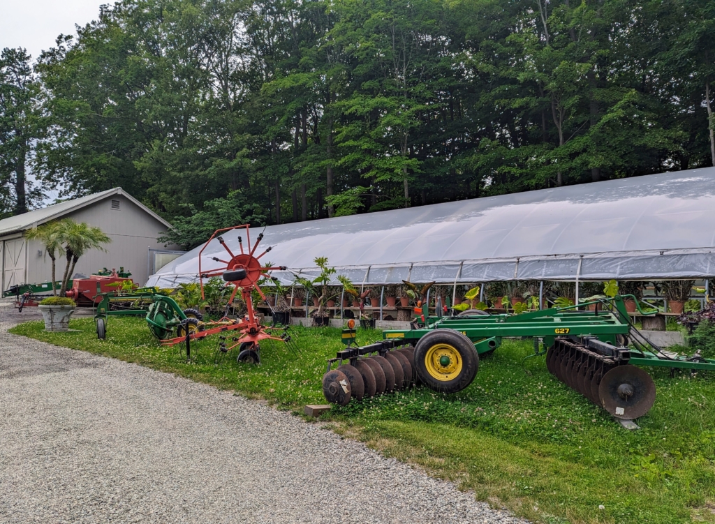 Cutting and Preparing Our Hay Crop for Baling - The Martha Stewart Blog