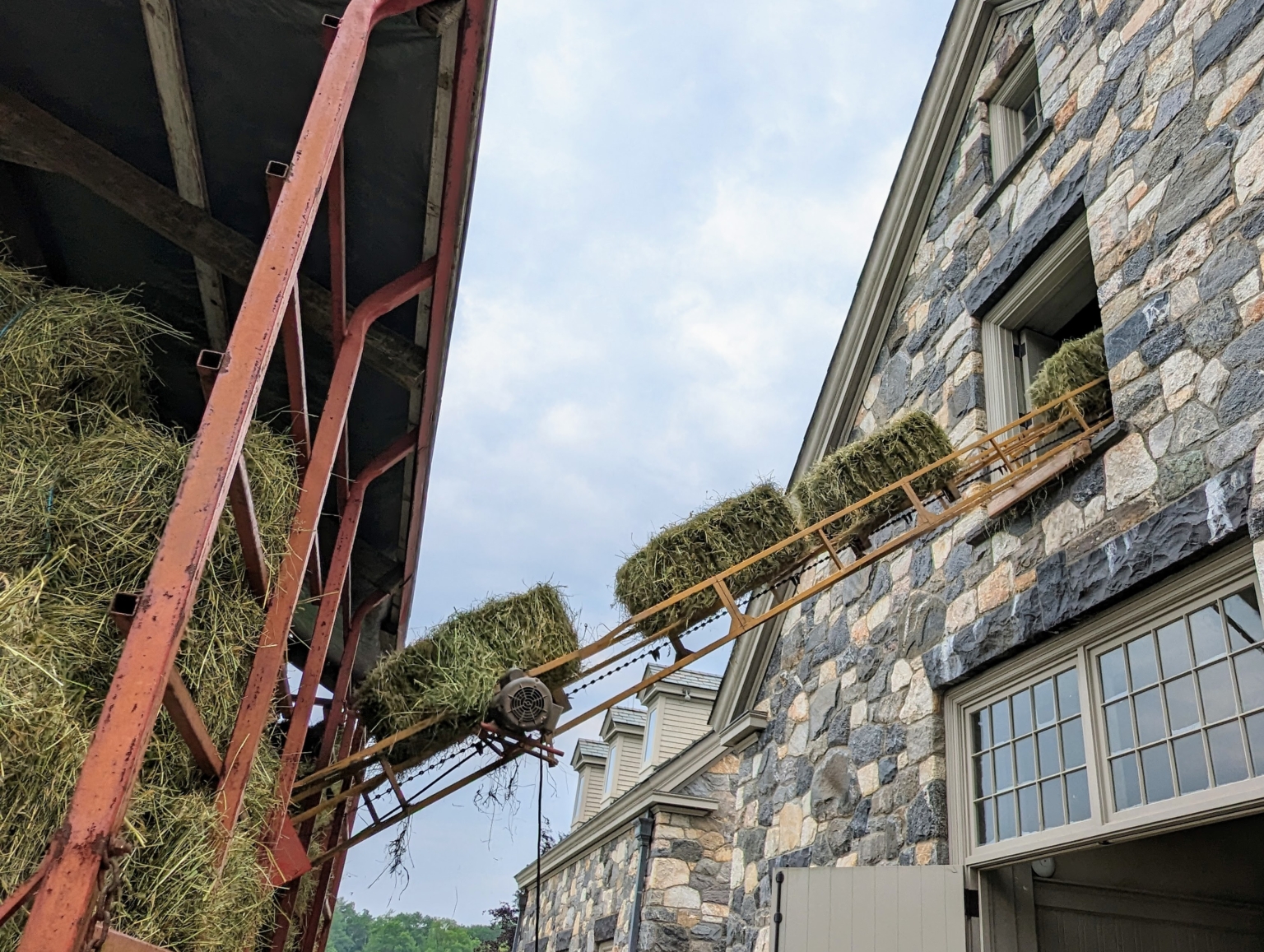 Our First Cut of Hay 2023 - The Martha Stewart Blog