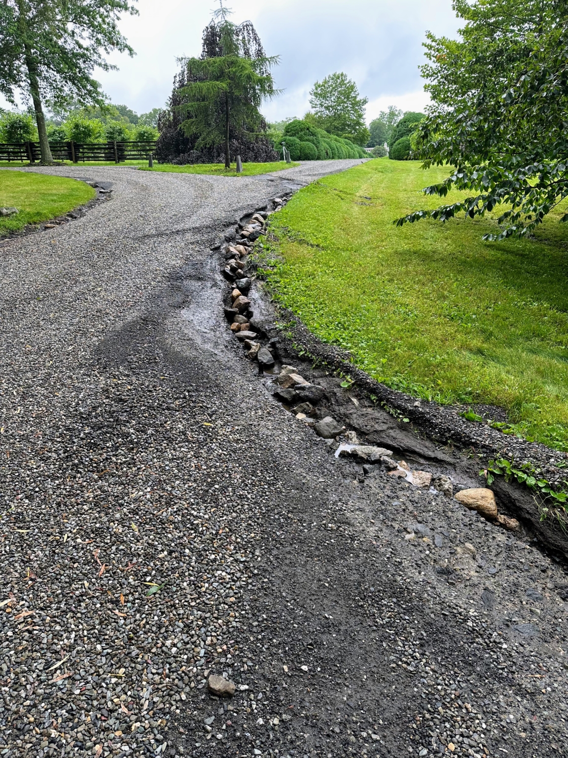 Cleaning Up a Fallen Tree - The Martha Stewart Blog