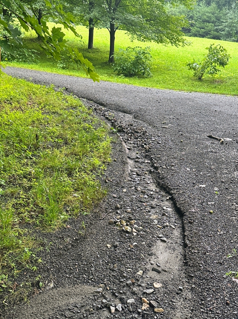 Cleaning Up a Fallen Tree - The Martha Stewart Blog