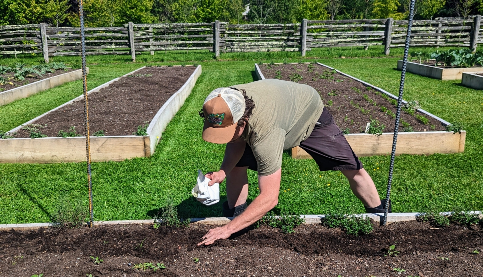 Picking Peas at the Farm - The Martha Stewart Blog