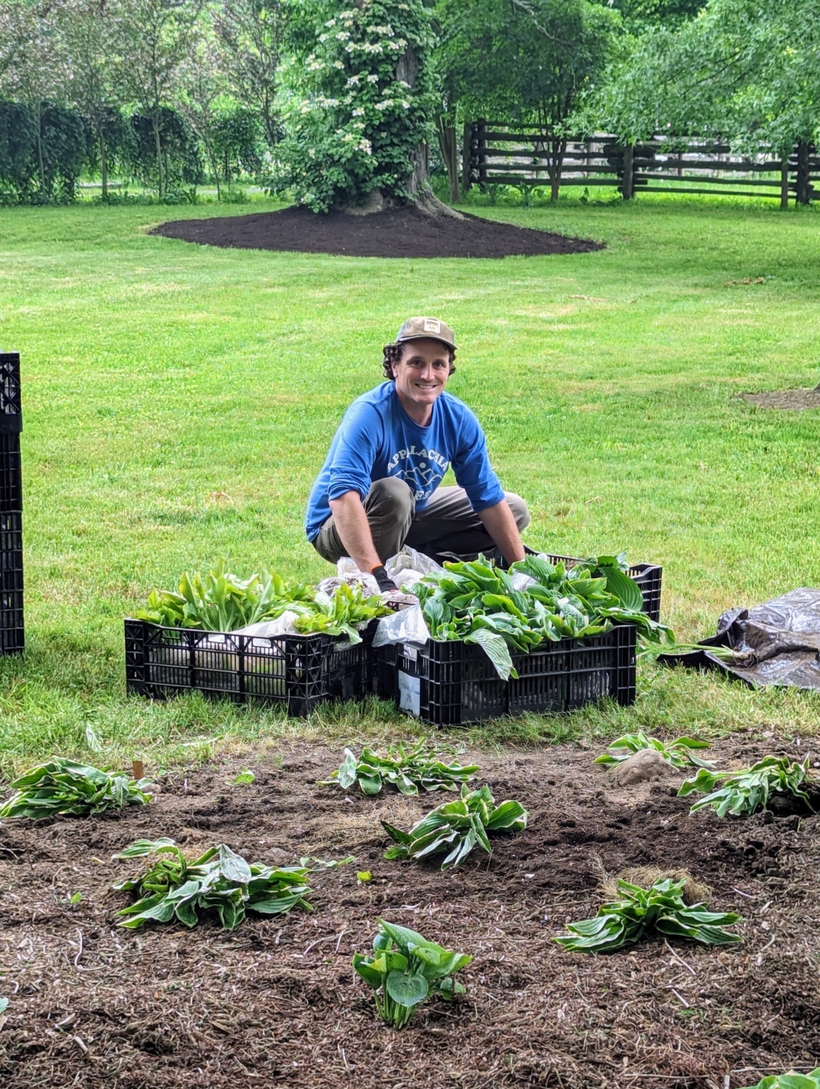 Planting Hostas in a Shade Garden - The Martha Stewart Blog