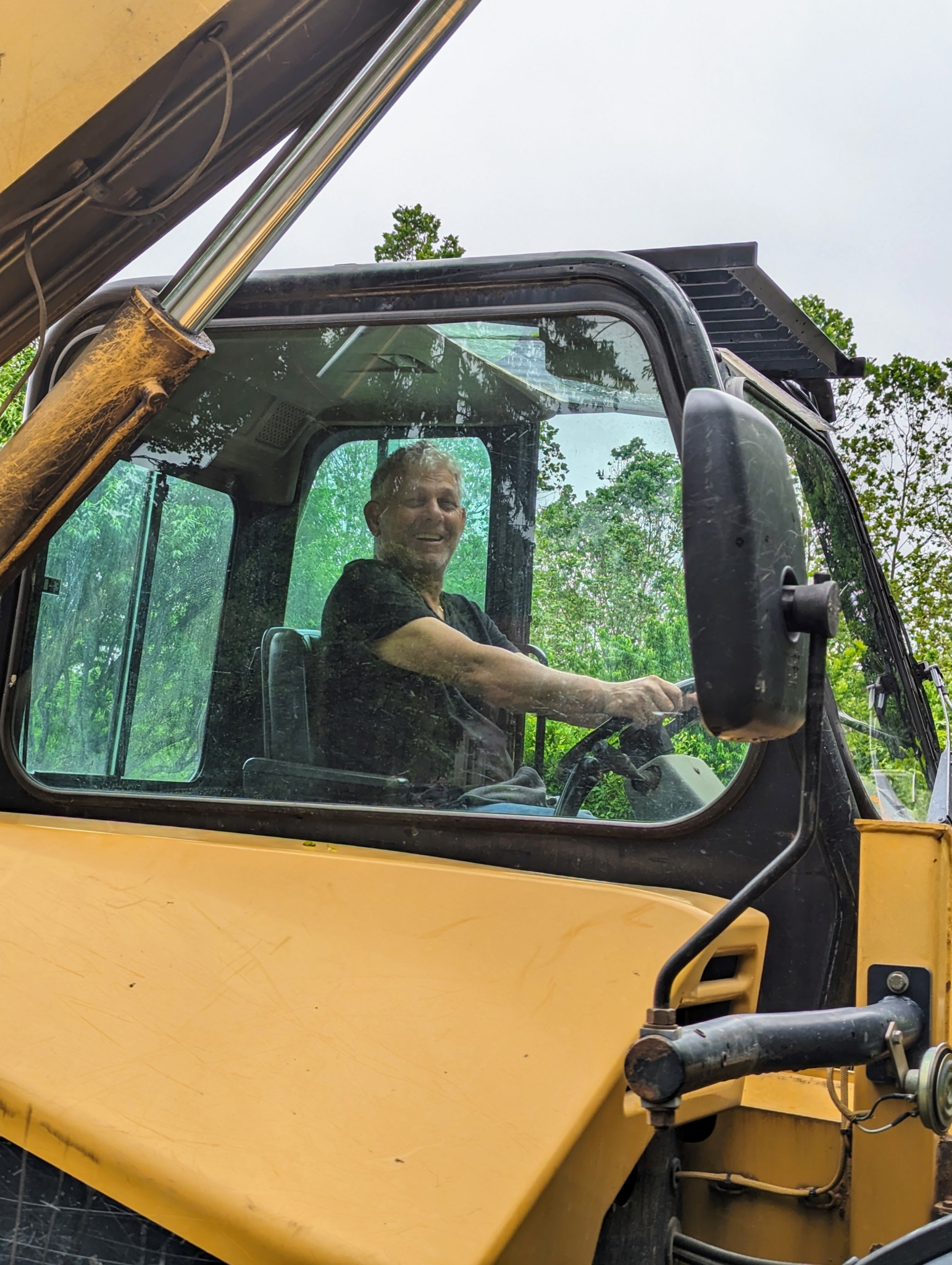 The Martha Stewart Blog : Blog Archive Pruning and Grooming My Hornbeam ...
