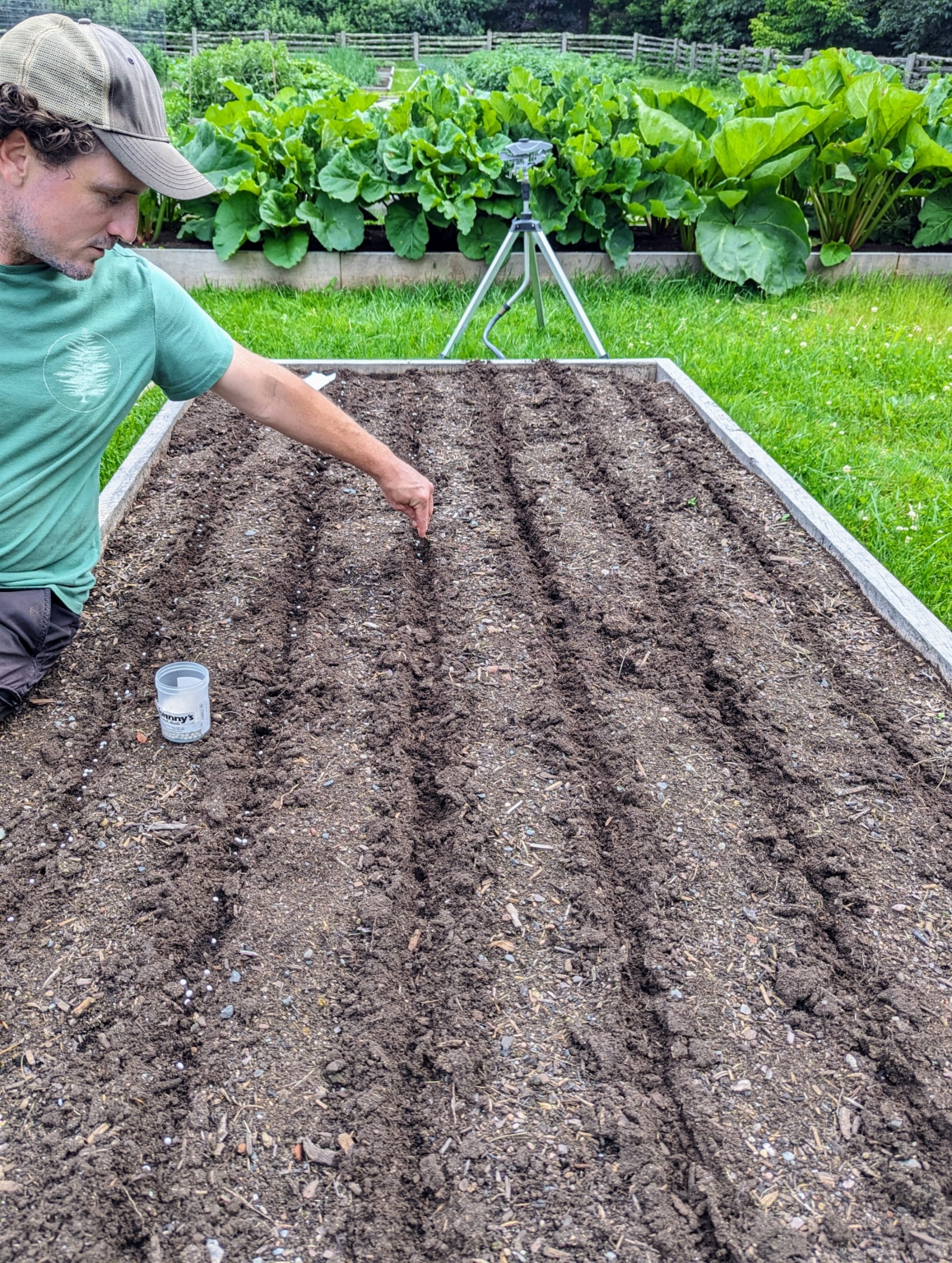 Succession Planting in My New Vegetable Garden - The Martha Stewart Blog