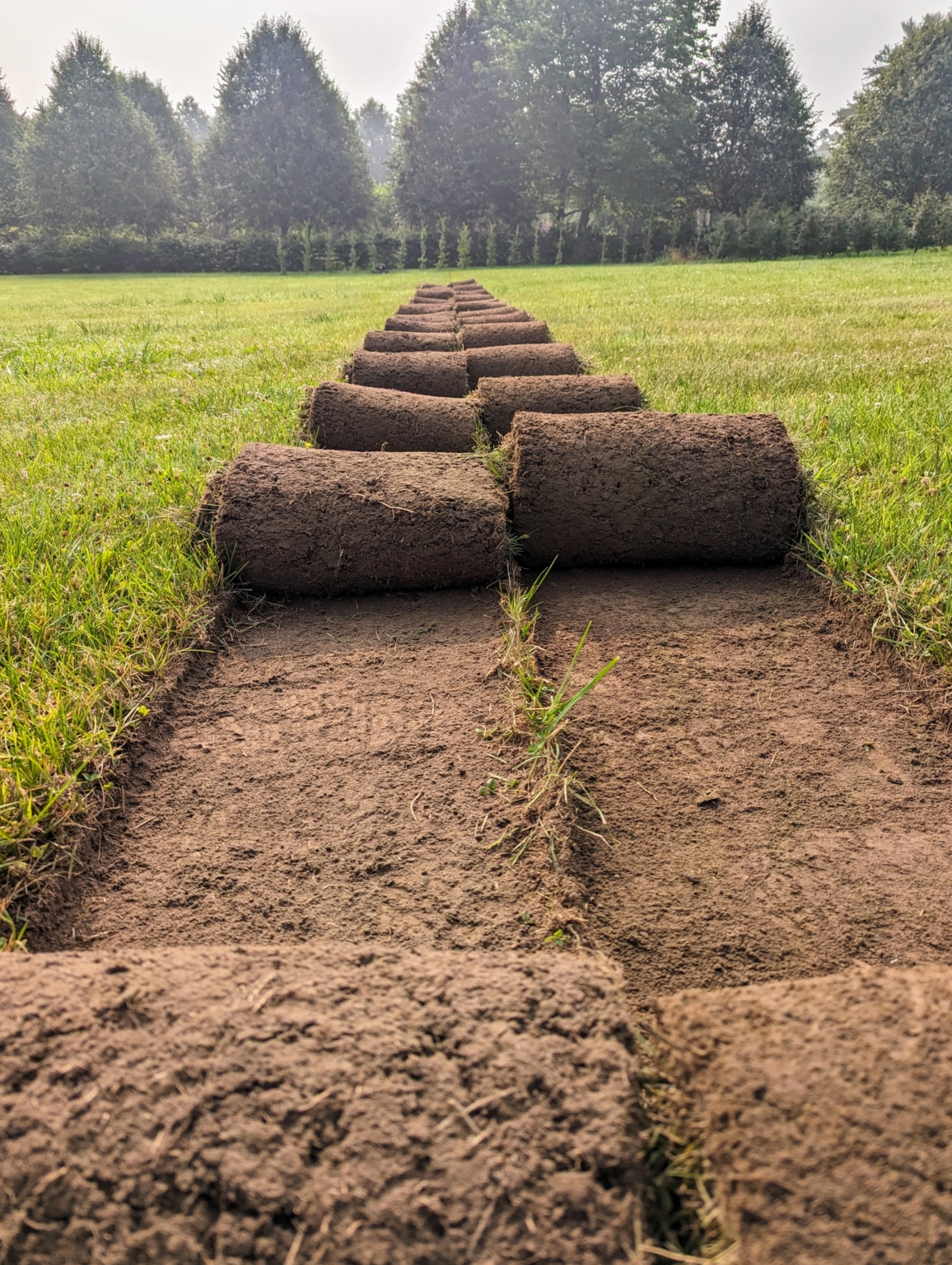 Planting Privets in My Maze - The Martha Stewart Blog