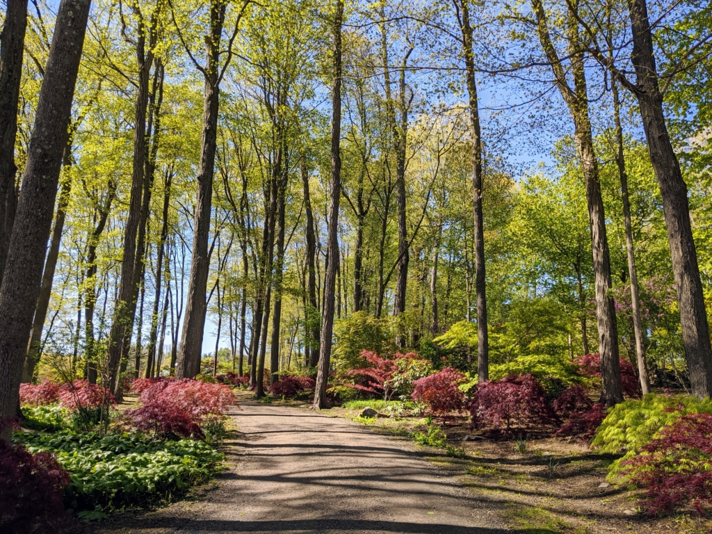 Maintaining the Carriage Roads - The Martha Stewart Blog