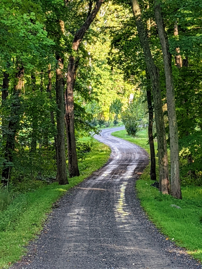 Maintaining the Carriage Roads - The Martha Stewart Blog