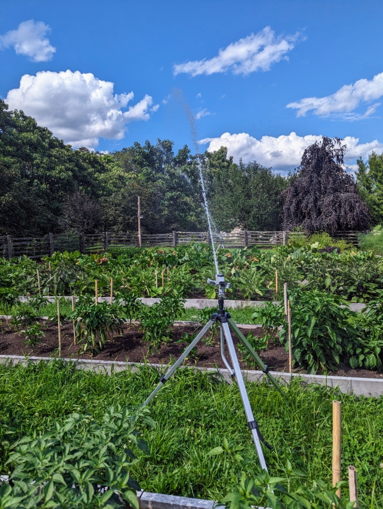 The Martha Stewart Blog : Blog Archive My Vegetable Garden in August ...