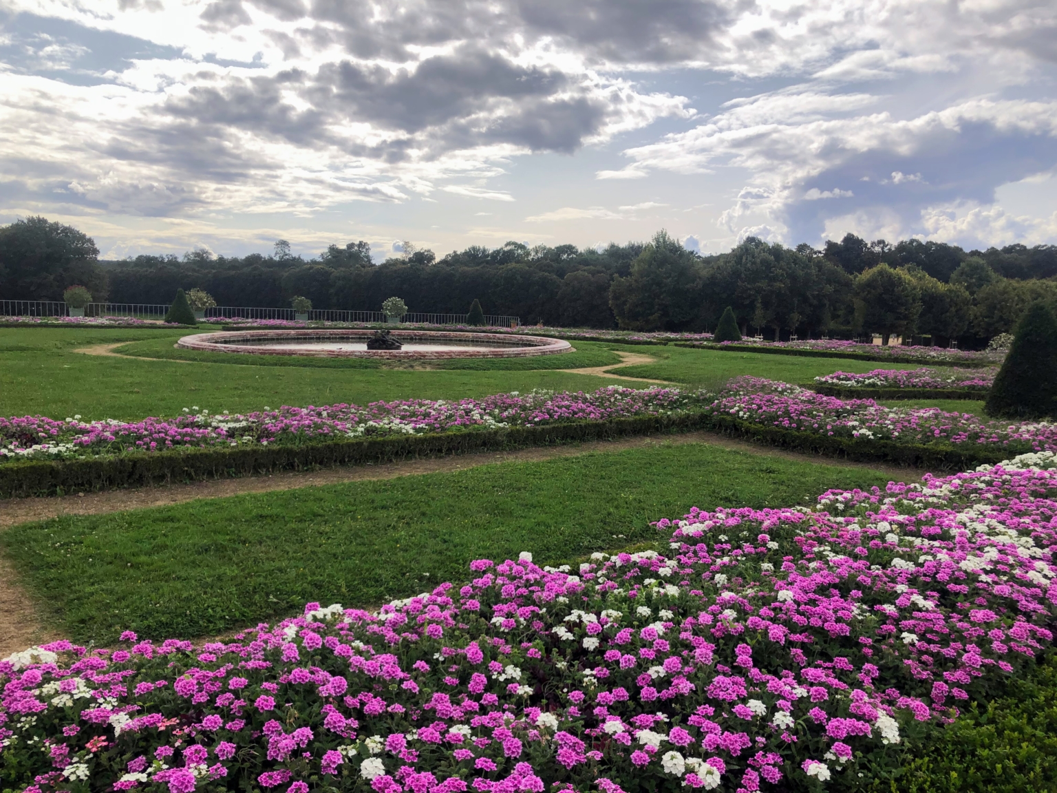 The Martha Stewart Blog : Blog Archive A Guest Blog from a Visit to ...