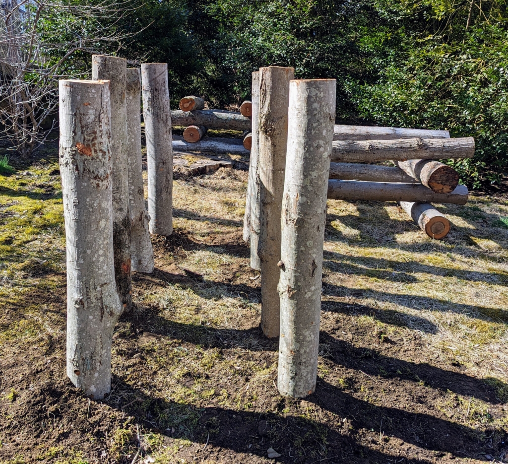 Growing Mushrooms - The Martha Stewart Blog