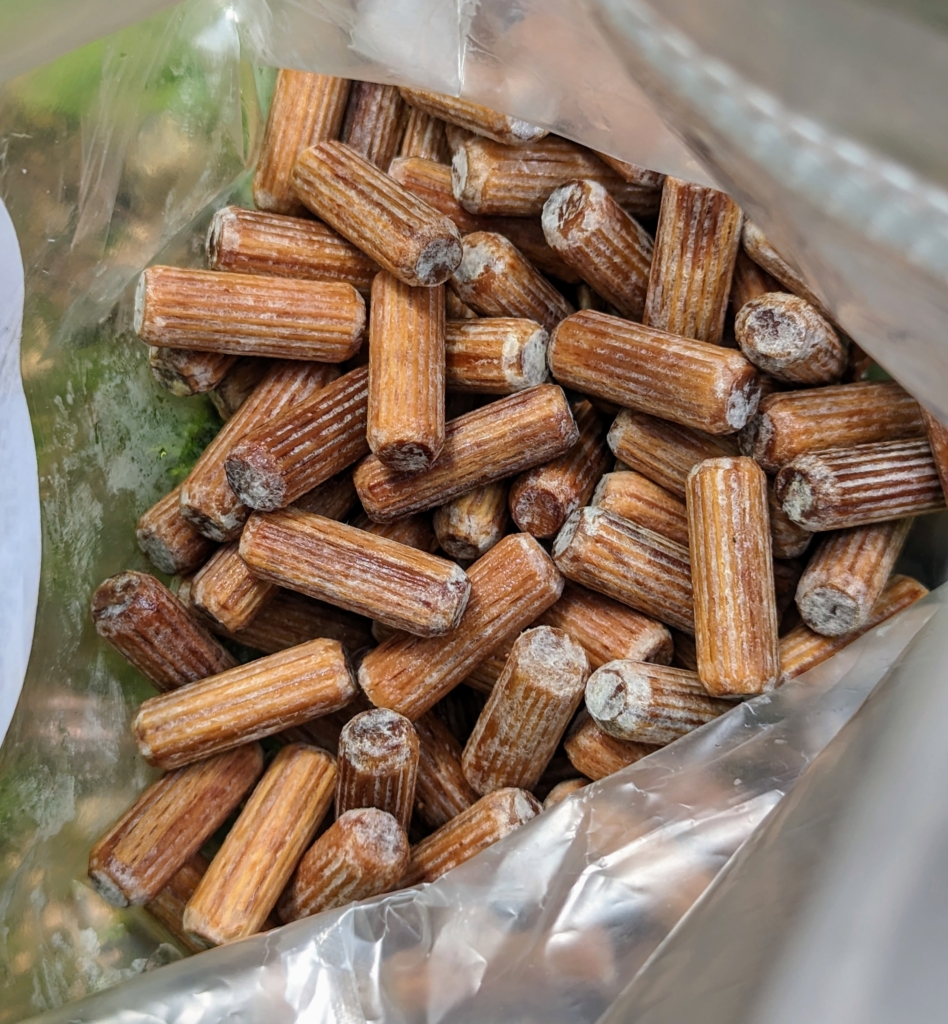 Growing Mushrooms - The Martha Stewart Blog