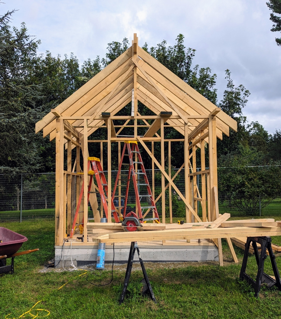 Building a New Coop for My Growing Turkeys, Part I - The Martha Stewart ...