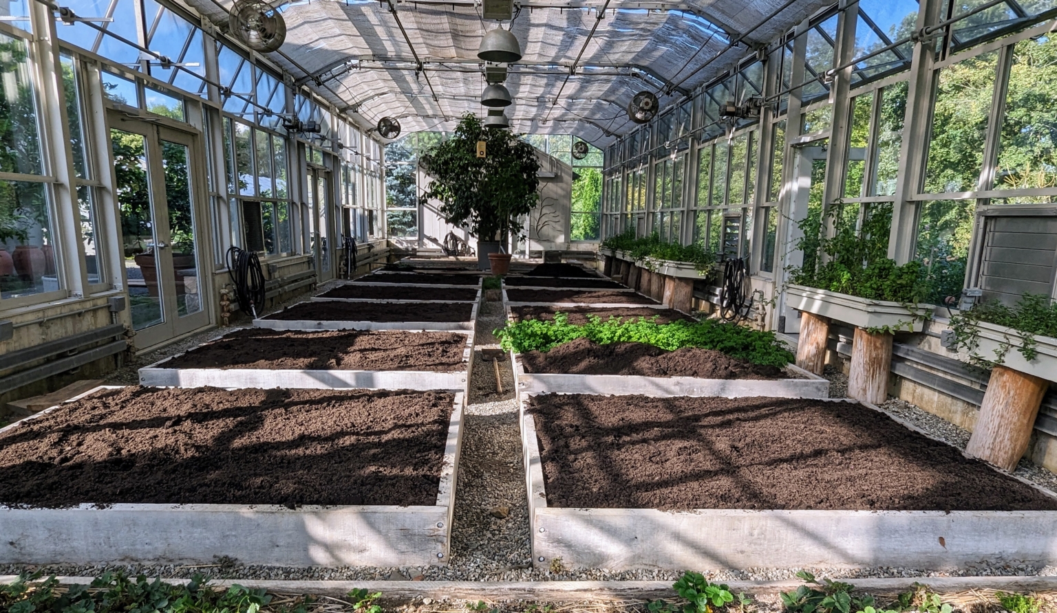 Planting Inside My Vegetable Greenhouse - The Martha Stewart Blog