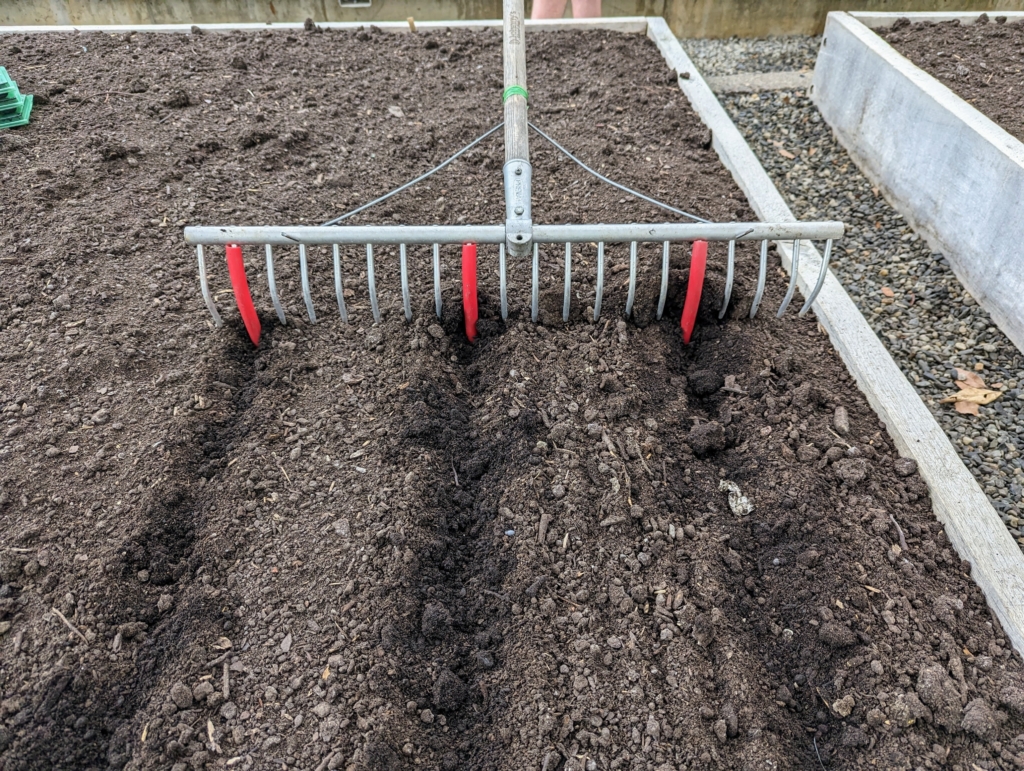 Planting Inside My Vegetable Greenhouse - The Martha Stewart Blog