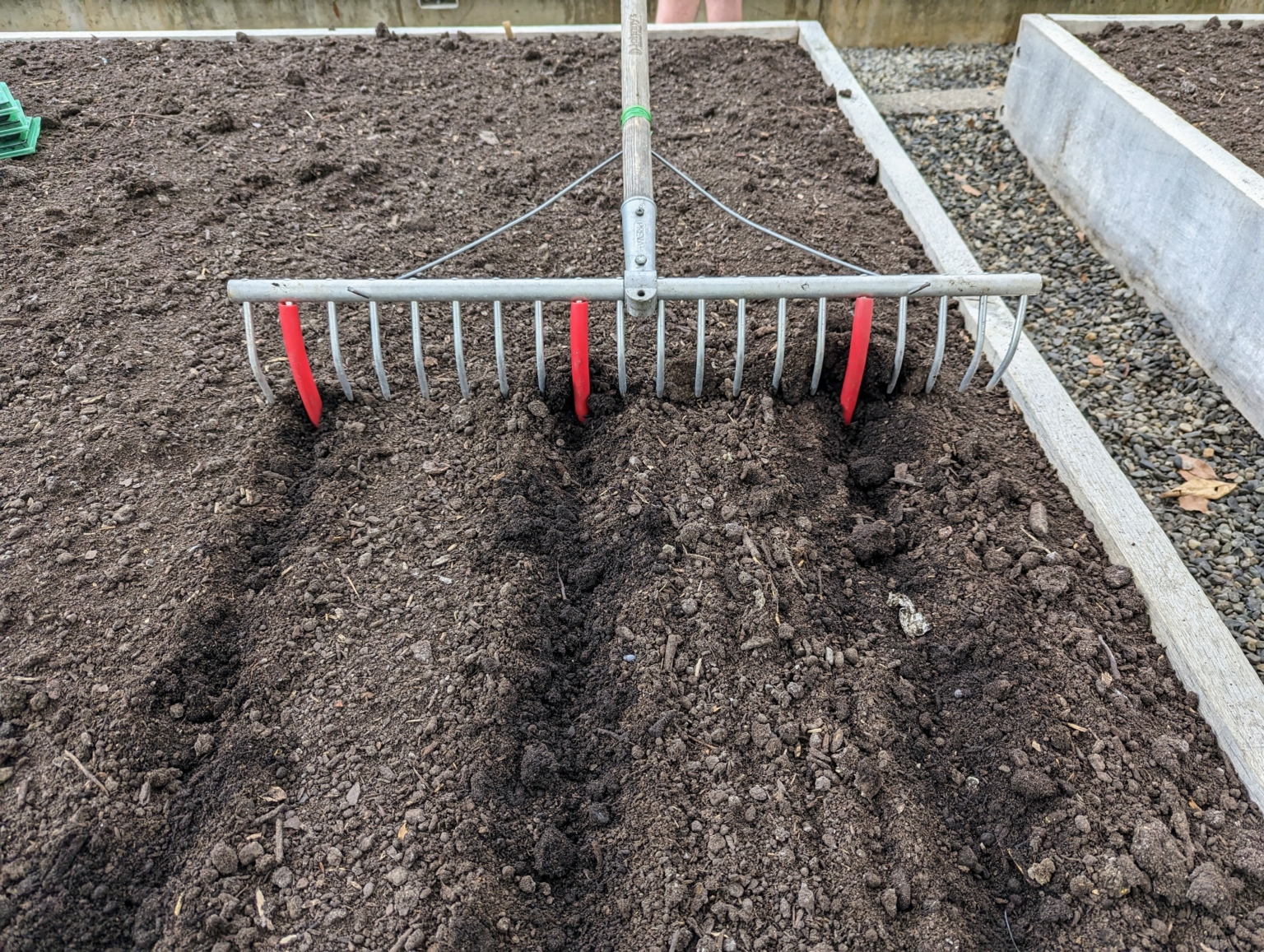 Planting Inside My Vegetable Greenhouse - The Martha Stewart Blog