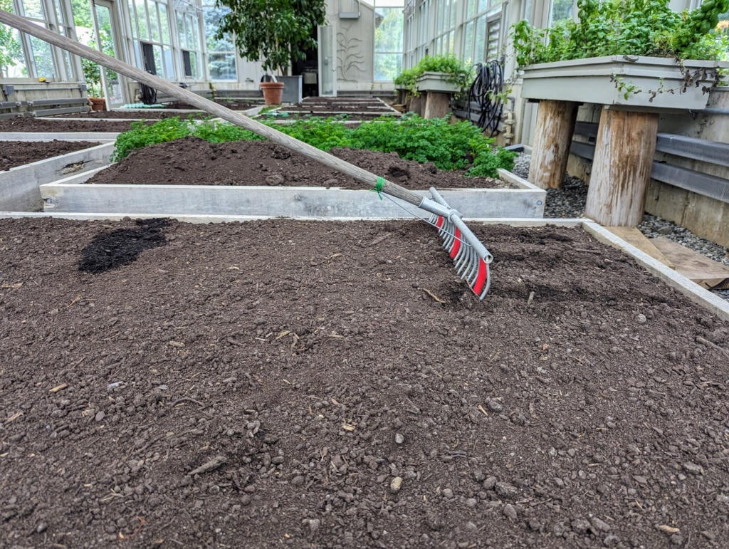 Planting Inside My Vegetable Greenhouse - The Martha Stewart Blog