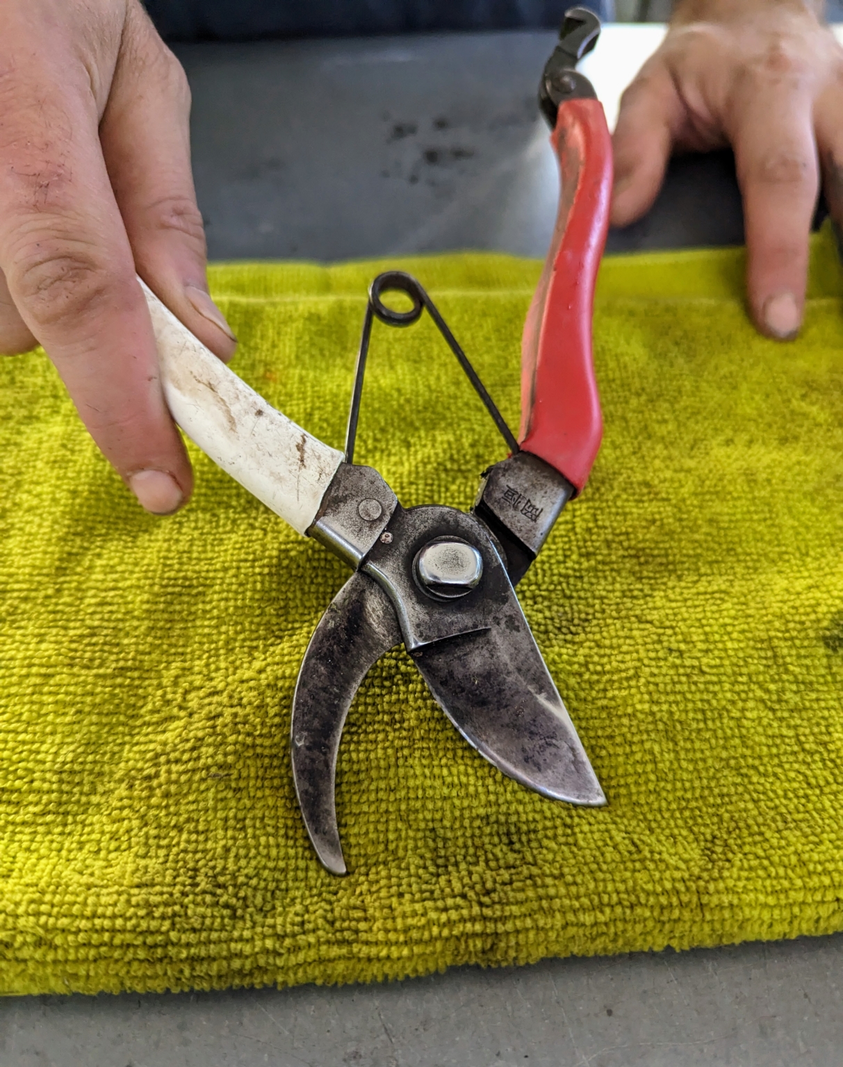 The Martha Stewart Blog : Blog Archive Sharpening Garden Pruners - The ...