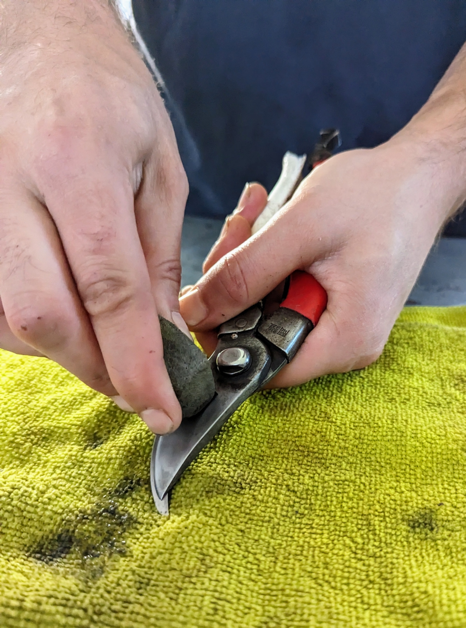 The Martha Stewart Blog : Blog Archive Sharpening Garden Pruners - The ...