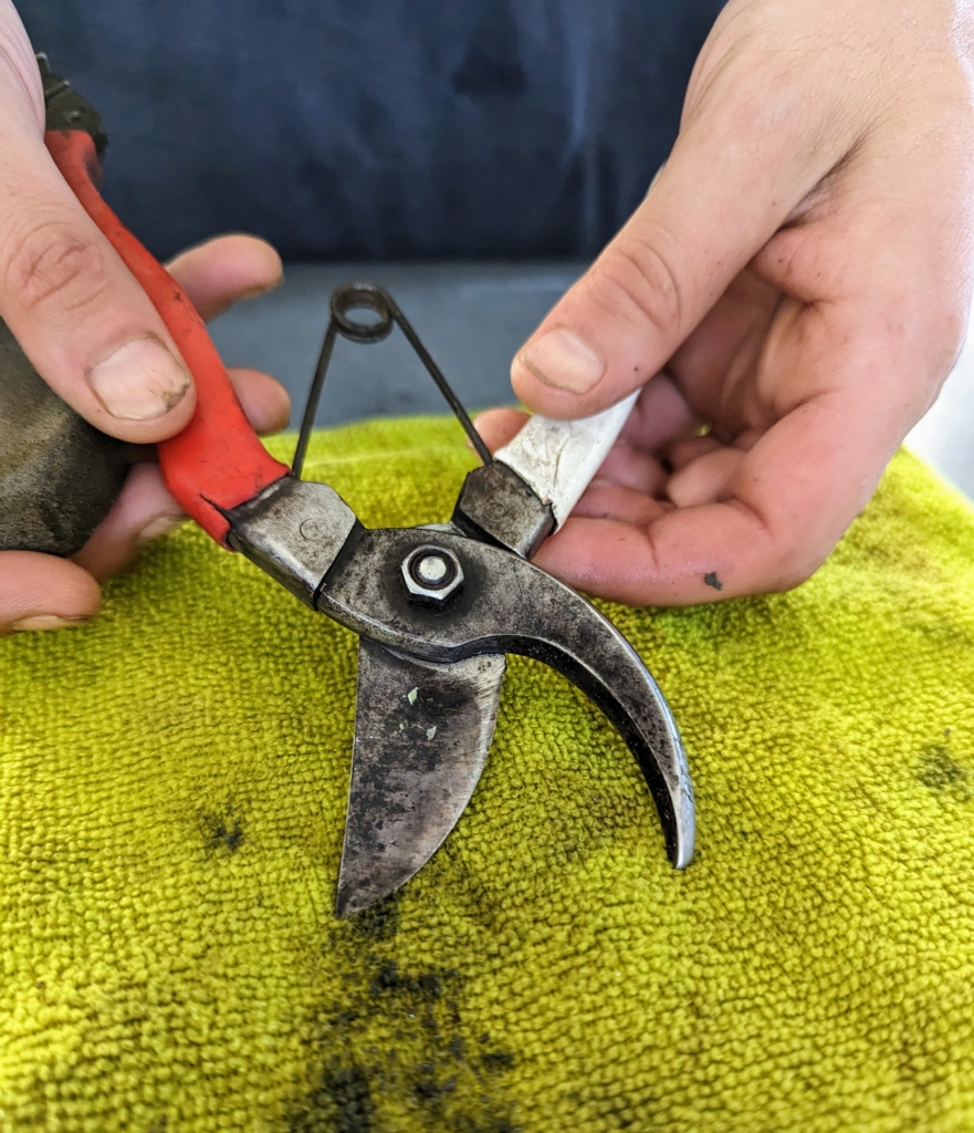 Sharpening Garden Pruners - The Martha Stewart Blog