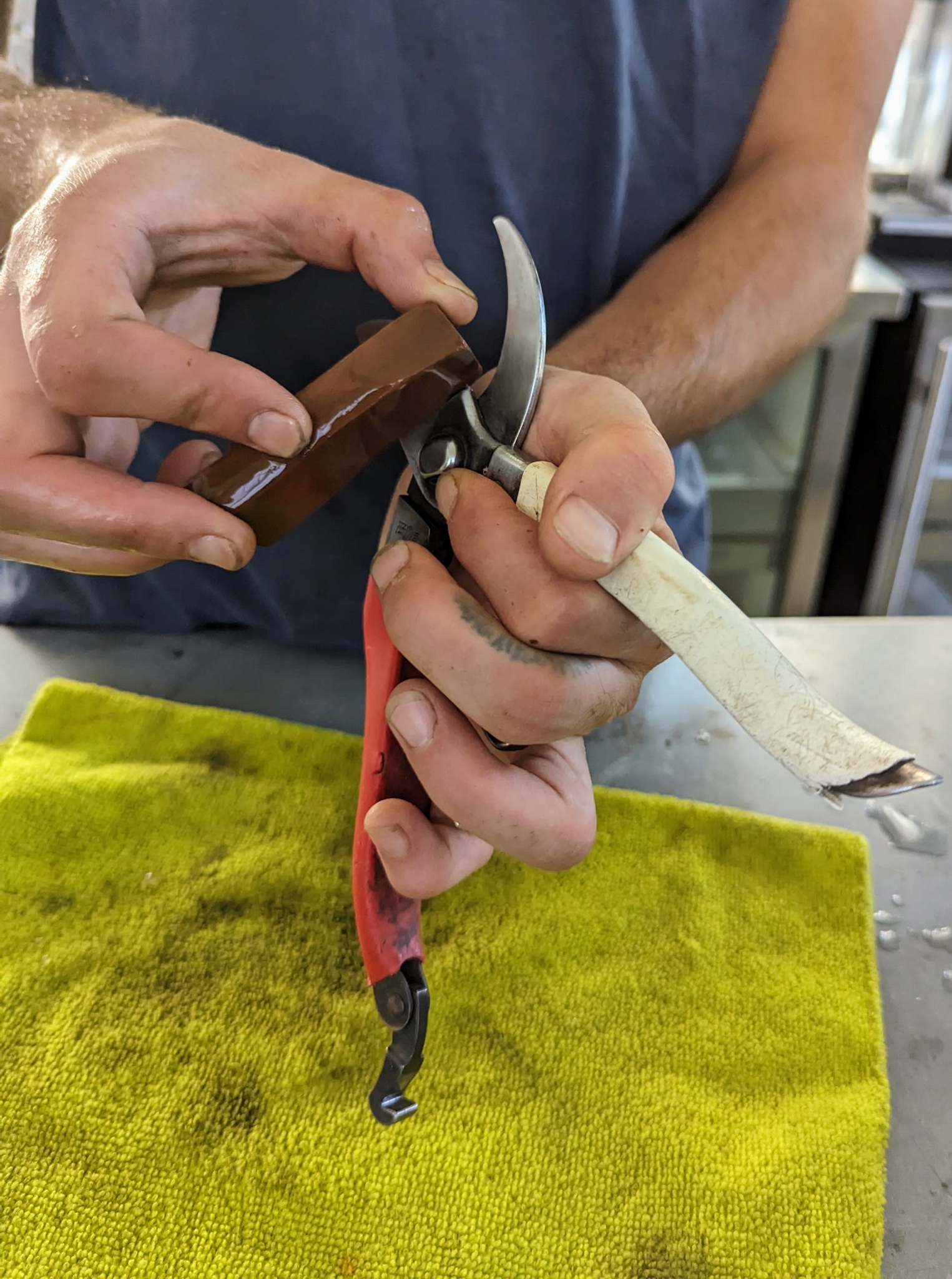 Sharpening Garden Pruners - The Martha Stewart Blog