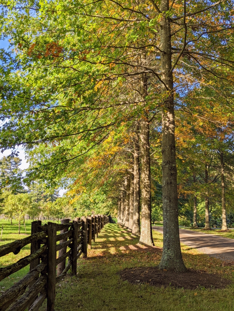 October Colors Around My Farm - The Martha Stewart Blog